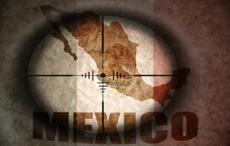 Mexican Drug Cartels and the Avocado Industry | Infortal